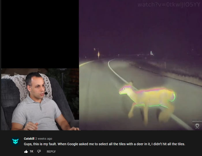 Tesla hits a deer without slowing down - 9GAG
