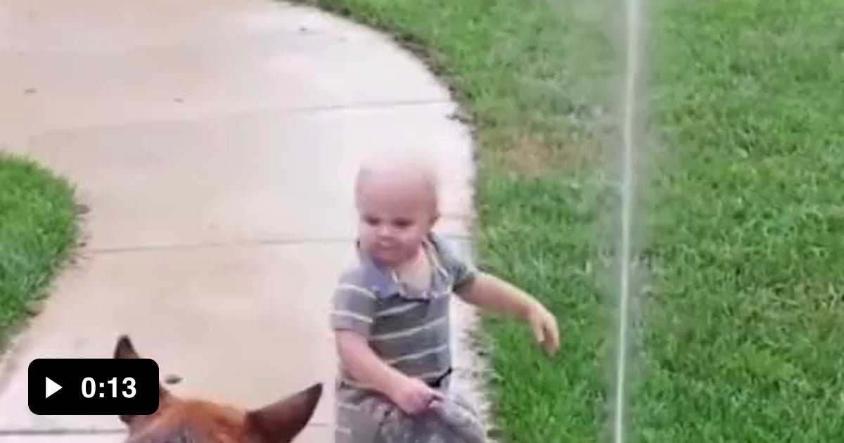 Houston!!! We have a Good boii!! - 9GAG