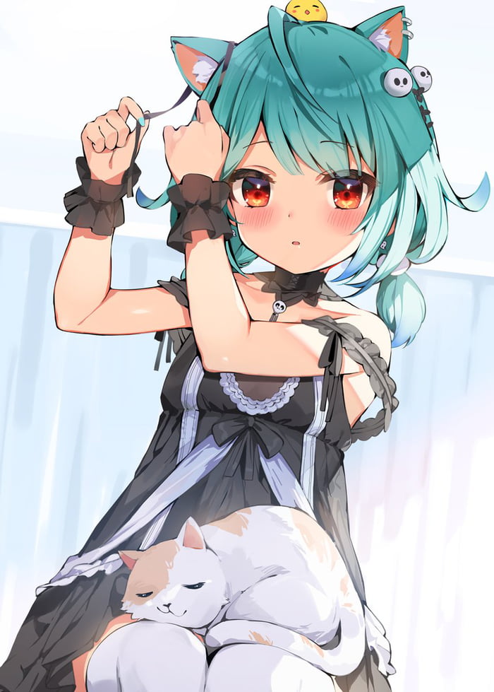 Cute neko on a cute neko - 9GAG