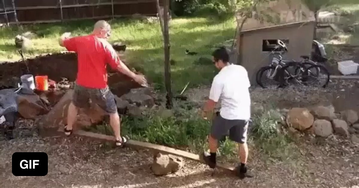 The helicopter whack - 9GAG