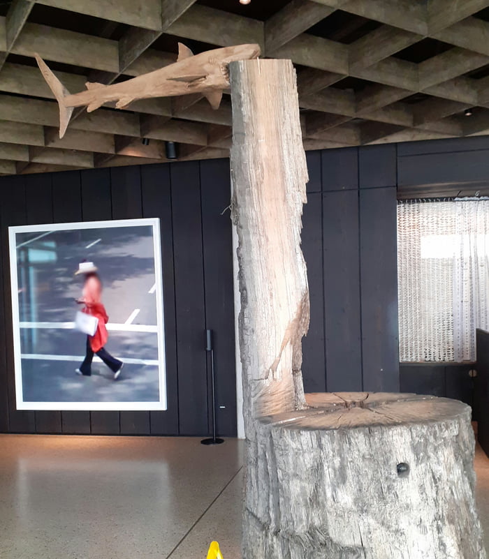 Shark bites a tree. - 9GAG