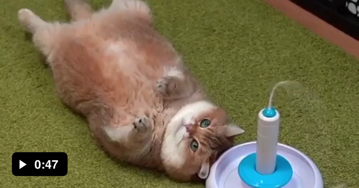 Workout session - 9GAG