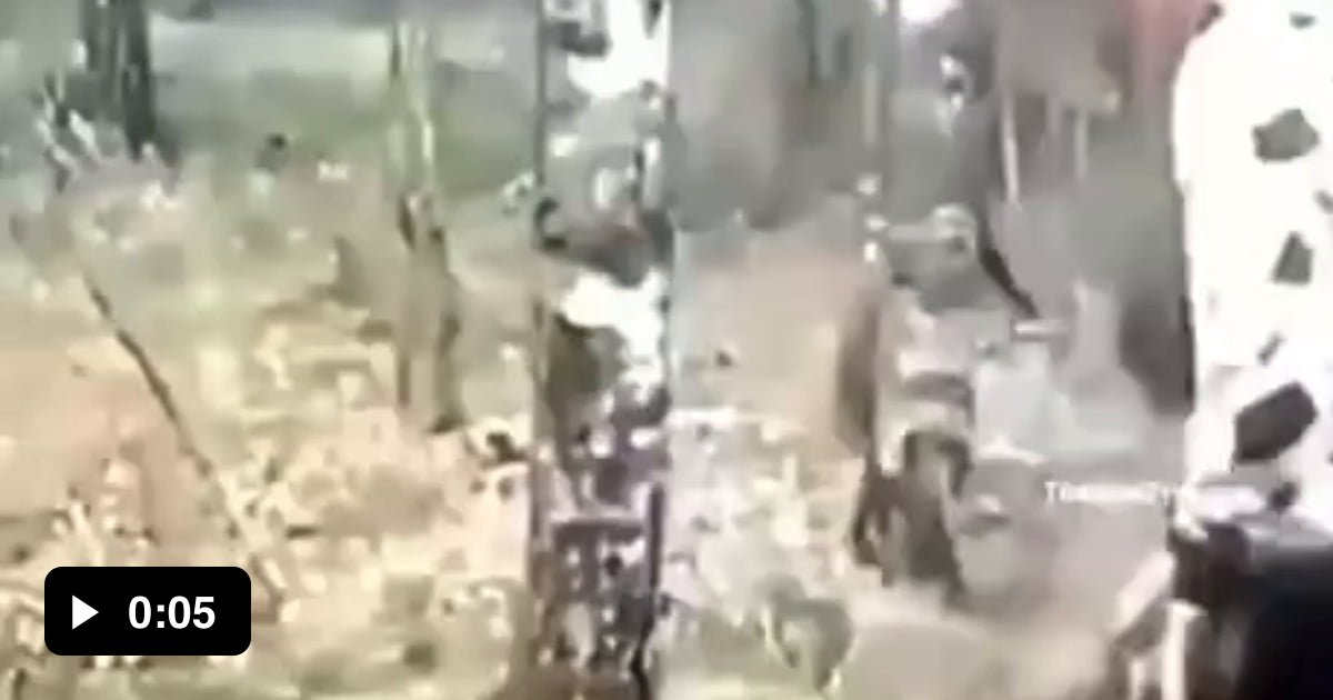 Kicking a tree for no reason (with sound) - 9GAG