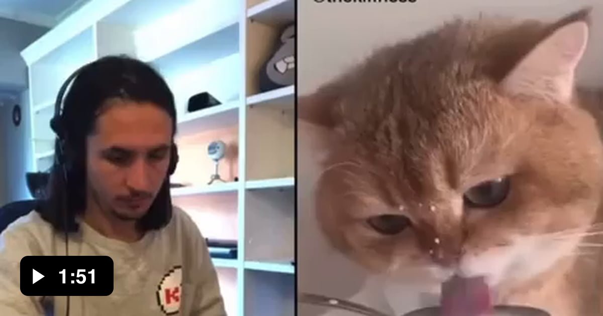Cat feat head banging cat - 9GAG