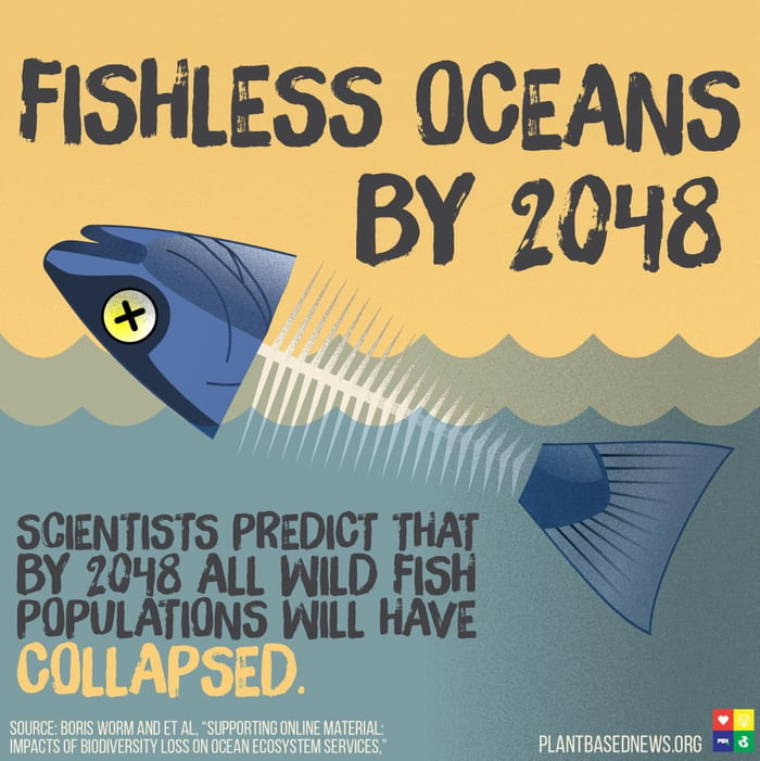 A study from an international team of ecologists and economists have ...