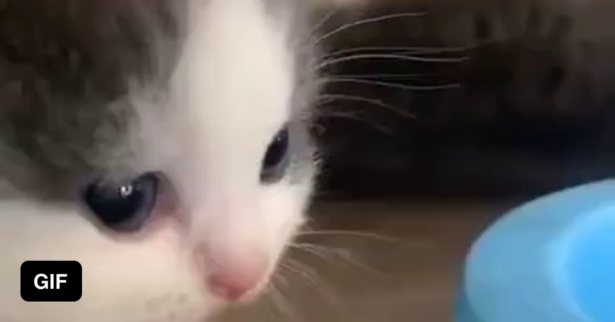 Origin of hehe, not hehe meme - 9GAG