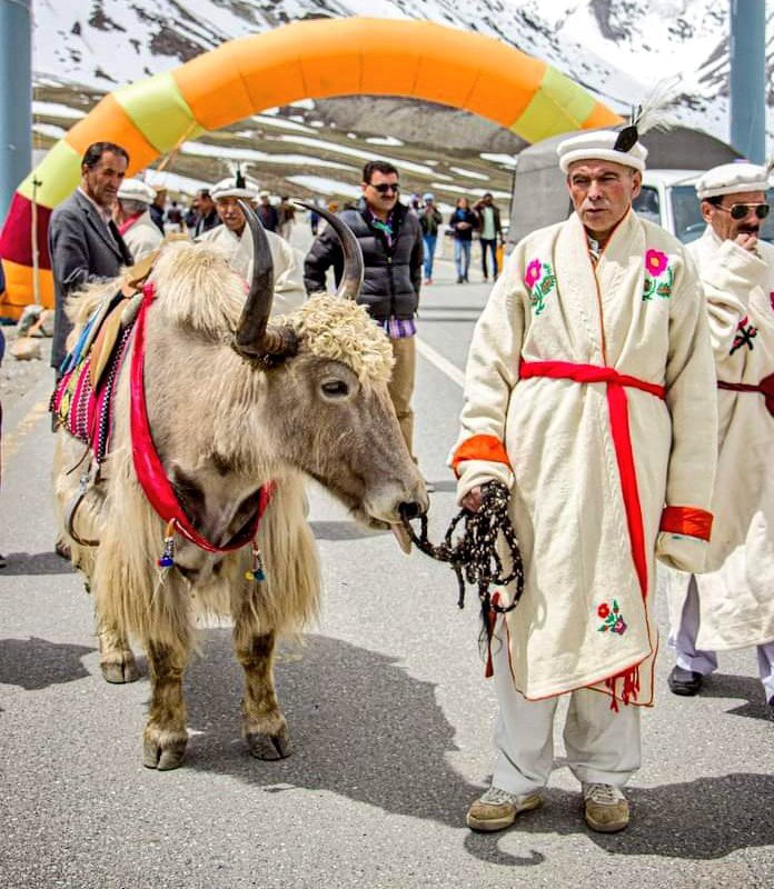 A Gilgit man in his traditional dress posing with a yak of the north at ...