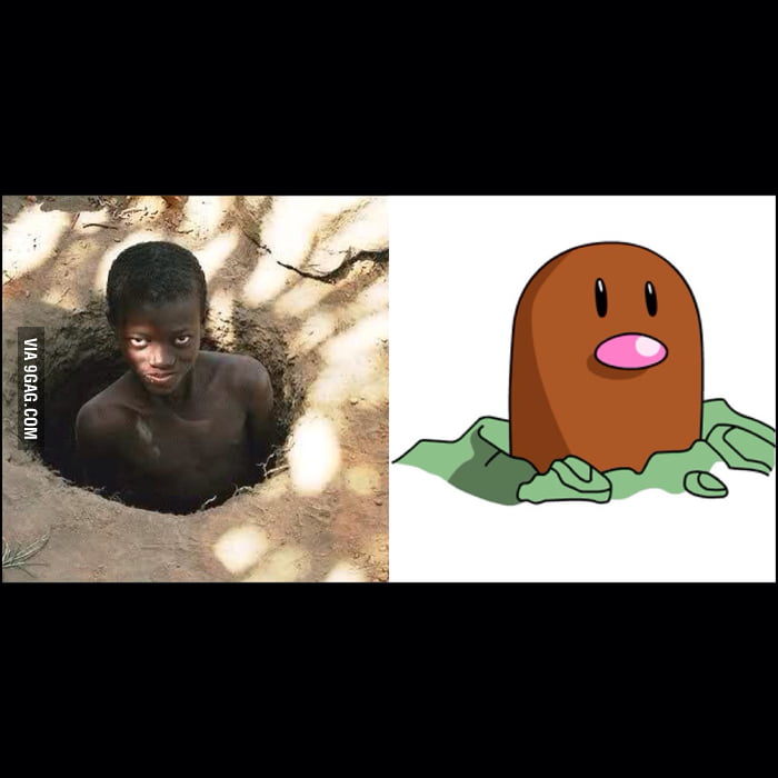 You Can Catch A Diglet But The Niglet Will Steal Your Pokeballs 9GAG