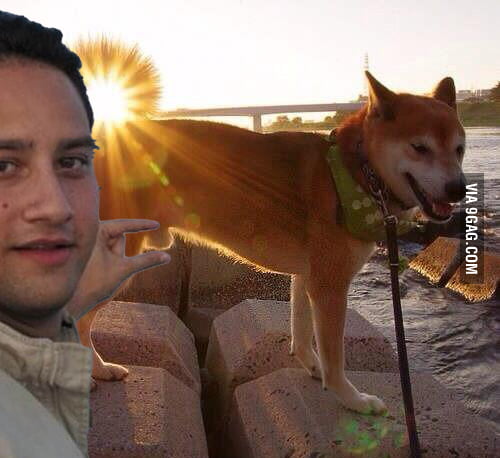 Sun dude and doge. Much peepee very WOW! - 9GAG