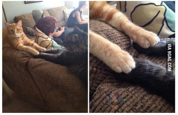 I think this guys were playing slapsies. - 9GAG