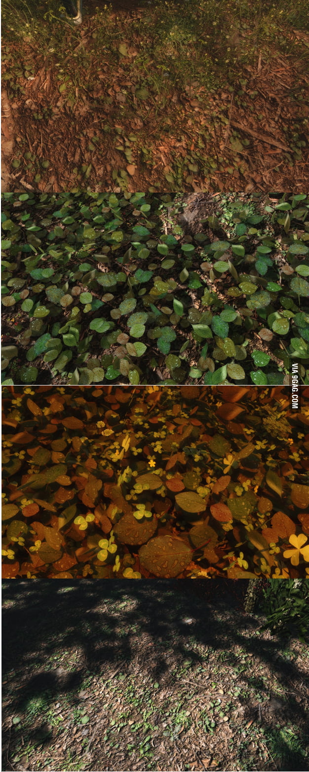 Skyrim Parallax Textures - 9GAG