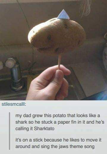 Potato potato - 9GAG