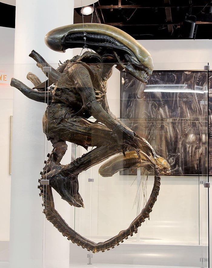 The Original Alien suit on display at the German Film Museum in ...