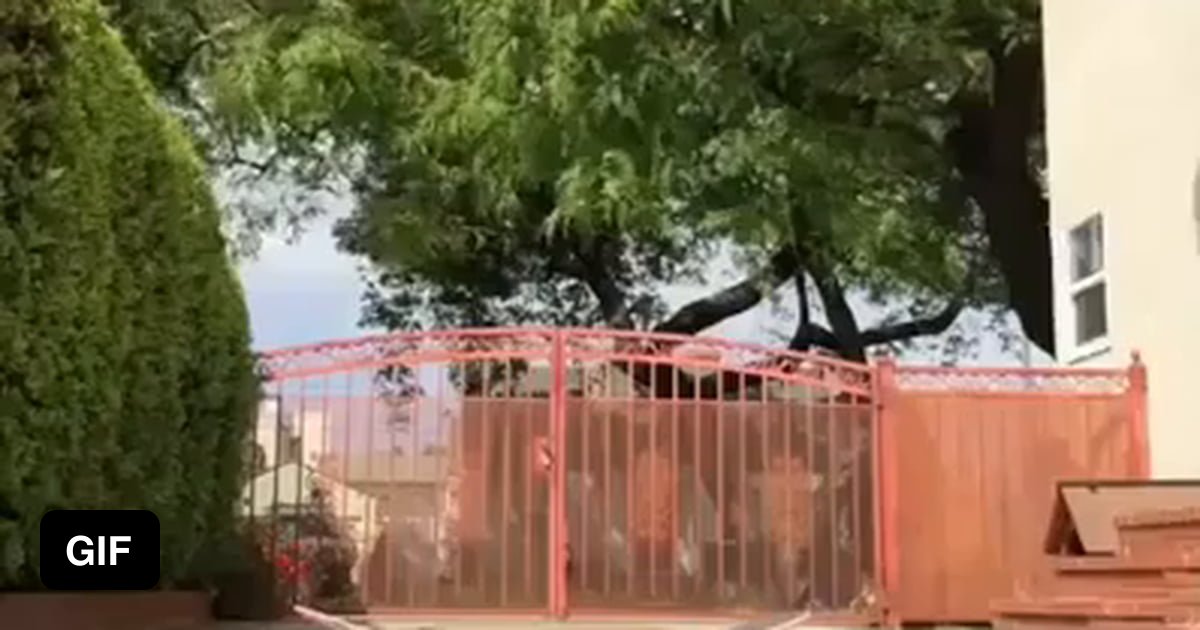 How to do a kickflip - 9GAG