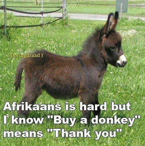 Baie dankie - 9GAG