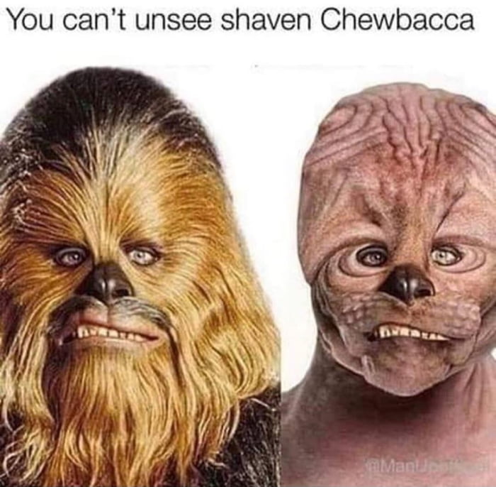 Shaven Chewbacca - 9GAG