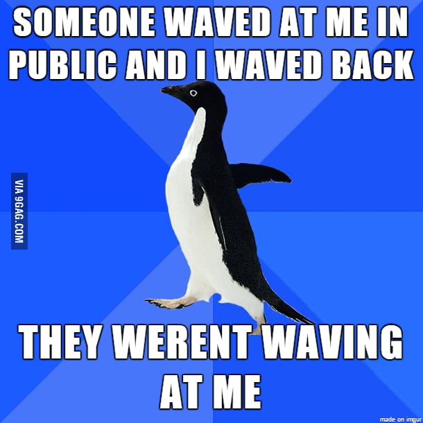 Haven't seen enough penguins around - 9GAG