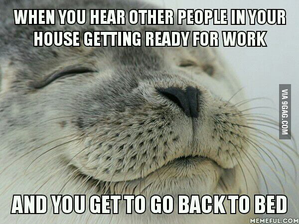 So I got a a few days off work... - 9GAG