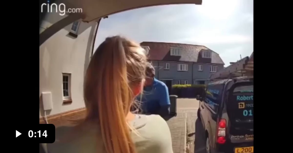 Woman saves dog after it jumped out of a window - 9GAG