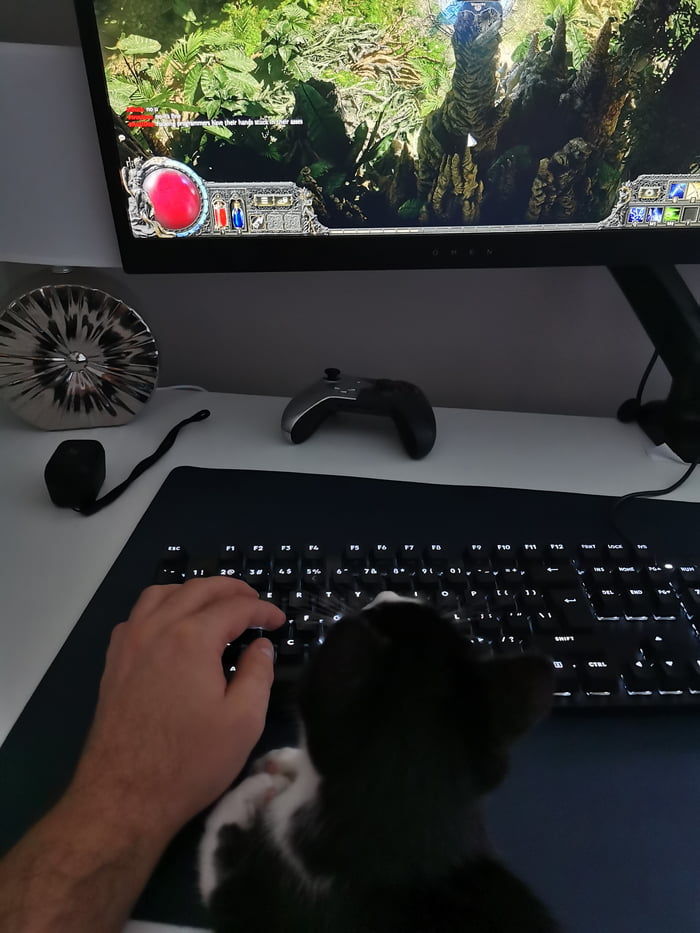 My cat approves POE 2. - 9GAG