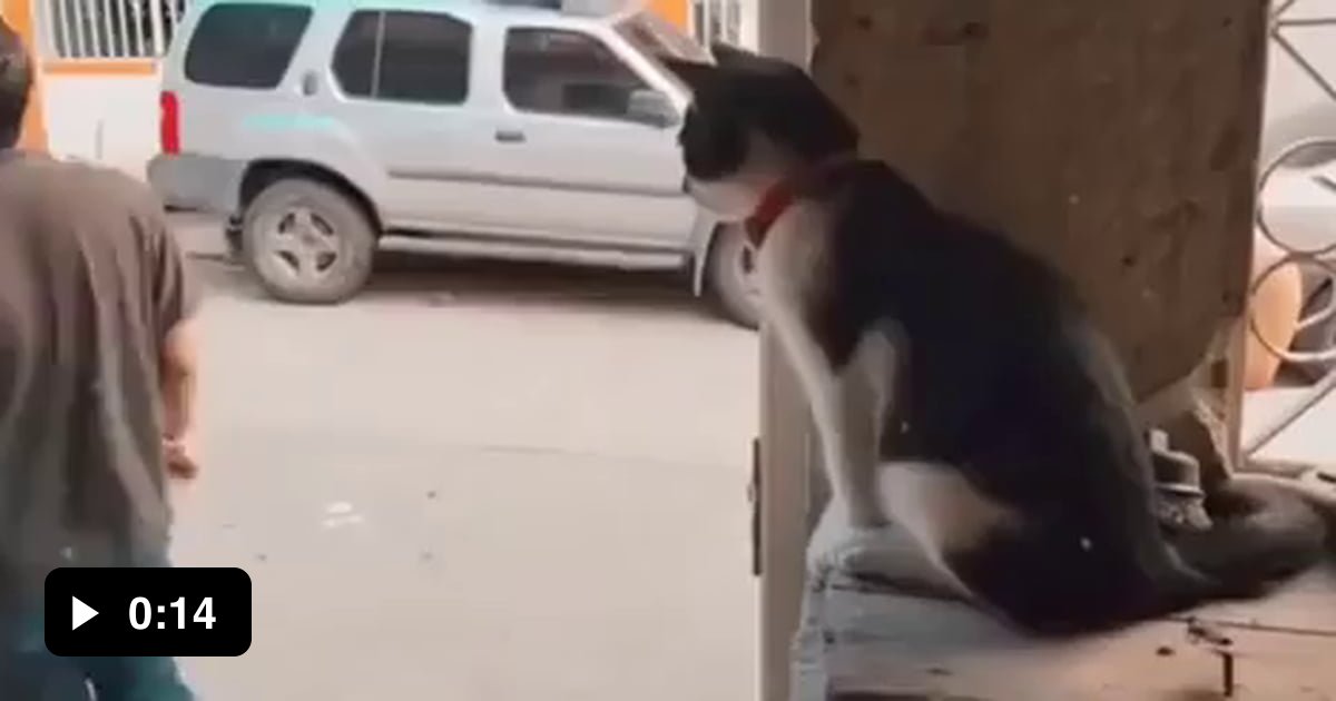 Blessings by lord catto - 9GAG