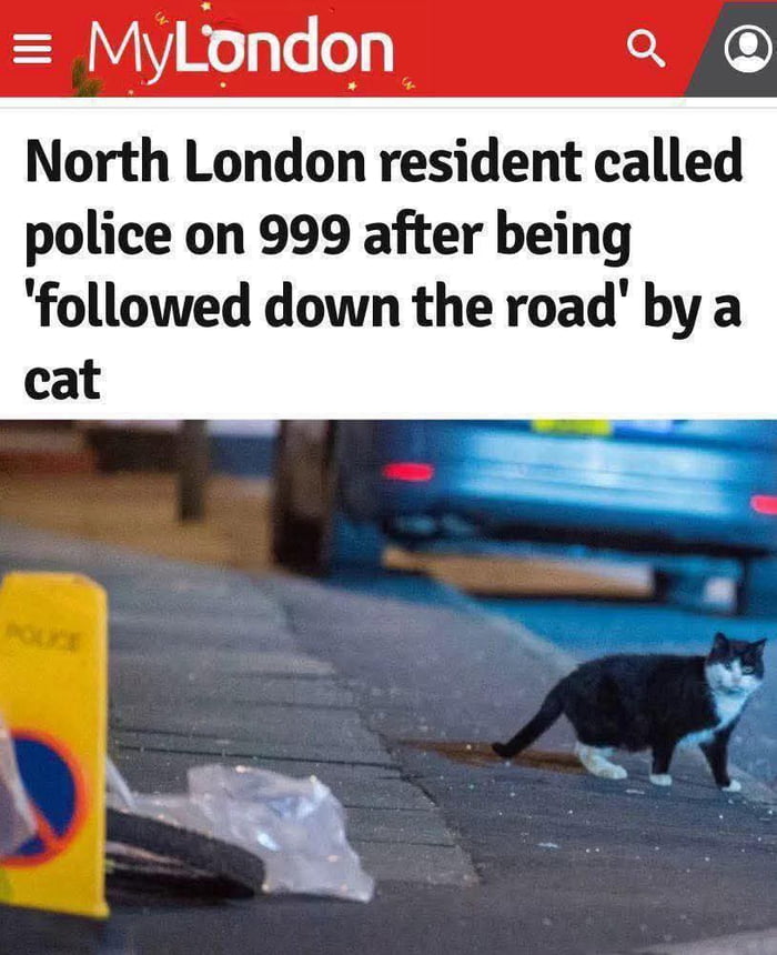 Cat distribution system at work - 9GAG