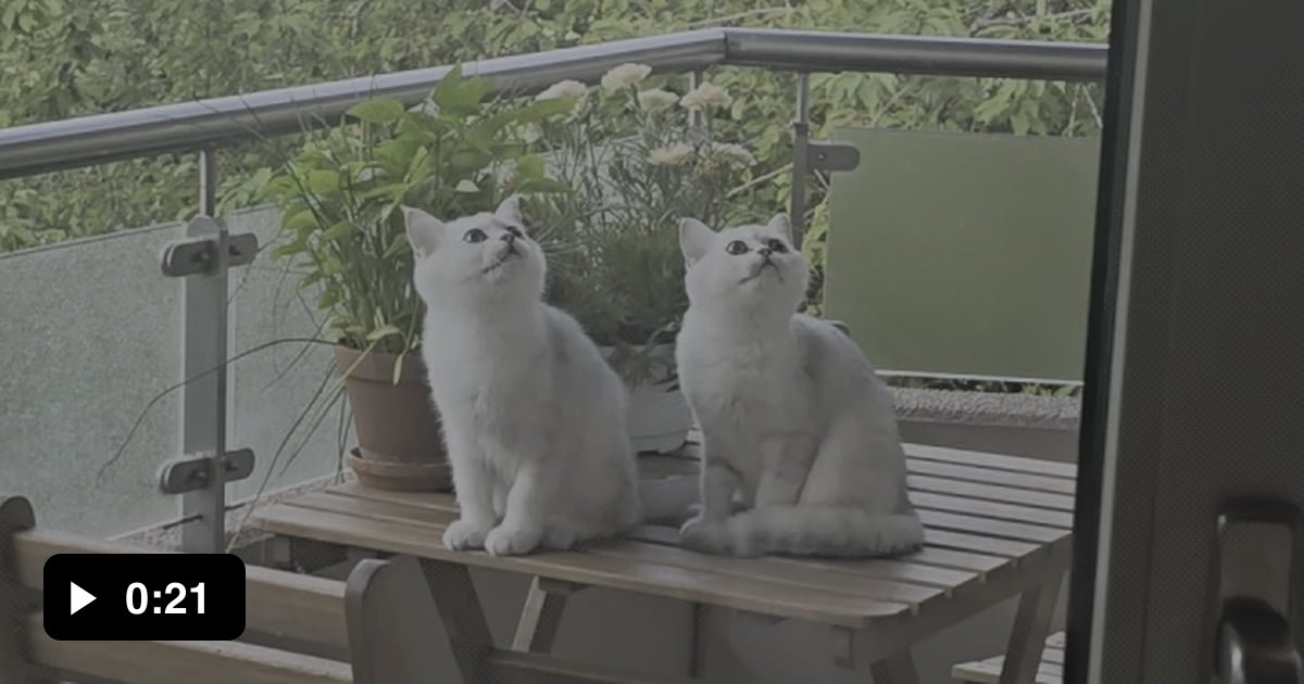 The way they sync - 9GAG