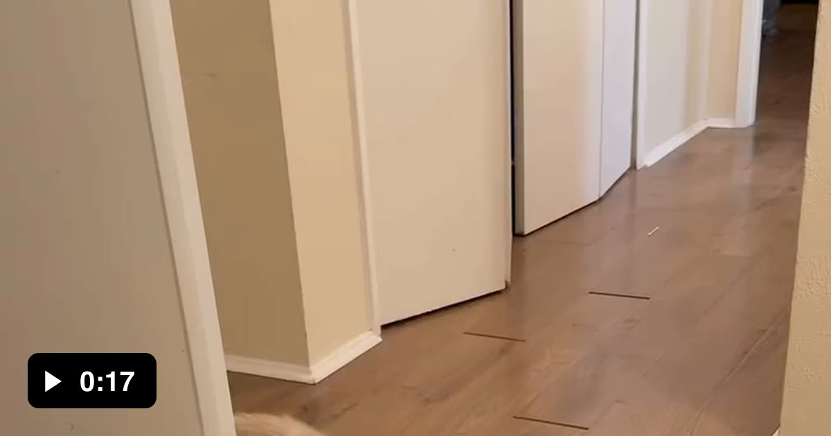 Interesting behaviour - 9GAG