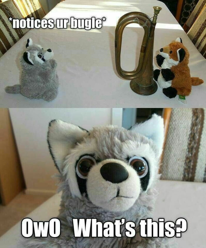 We're going to hell if you read it wrong at first - 9GAG