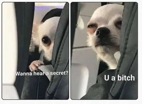 Uploading the rare memes I've liked enough to download from this ...