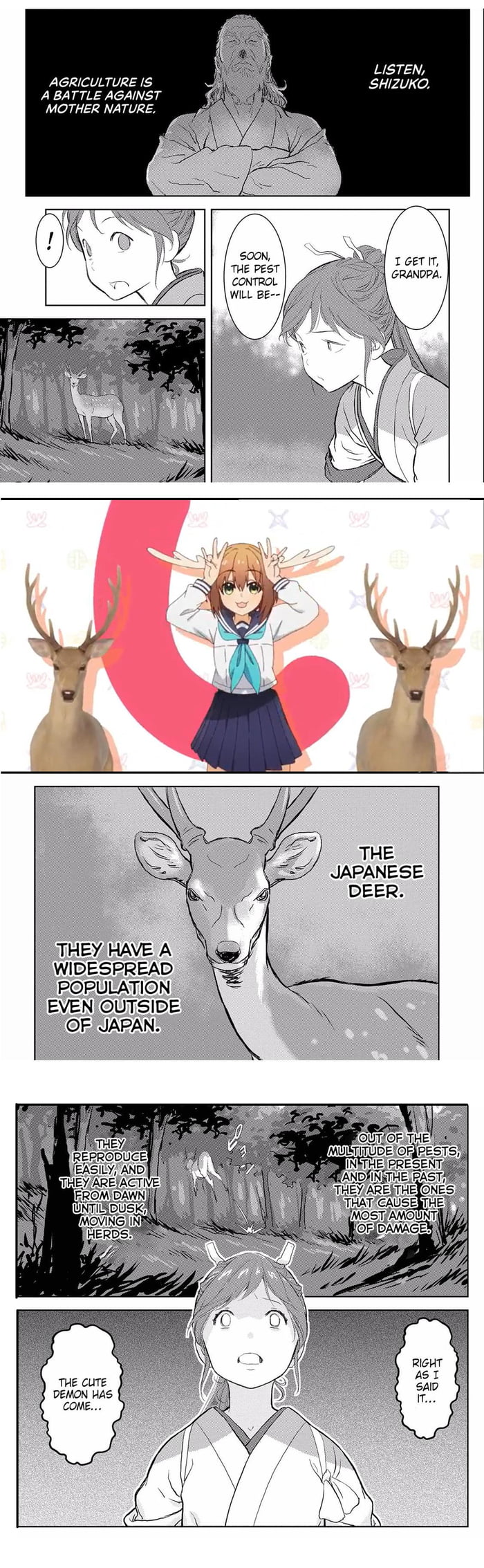 In celebration of 7 July: the Cute Demon! - 9GAG