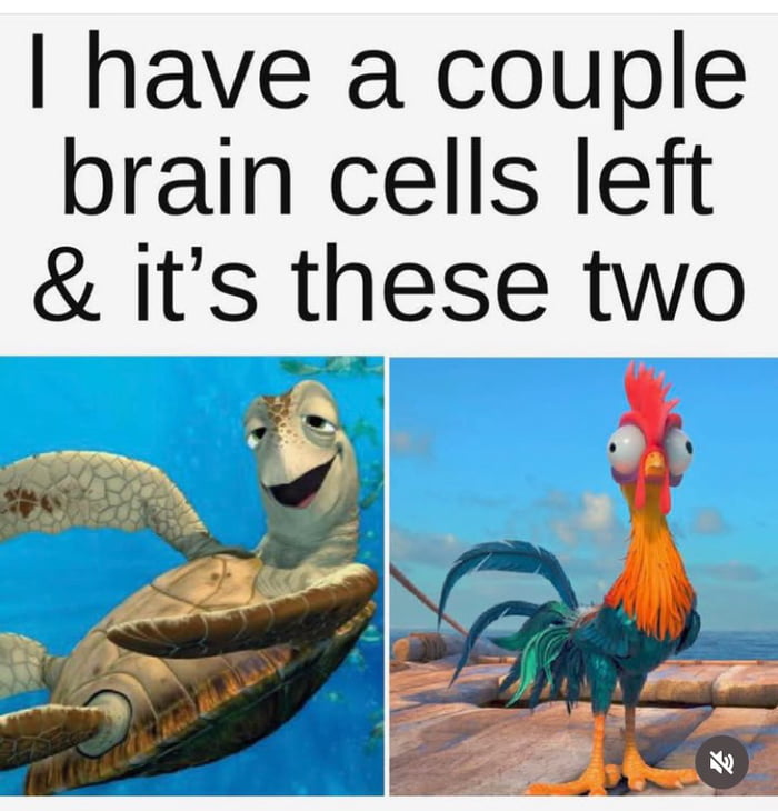 My last two brain cells trying to get through the day - 9GAG