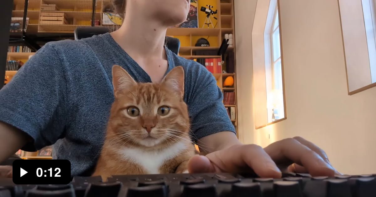 Pair programming with braincell - 9GAG