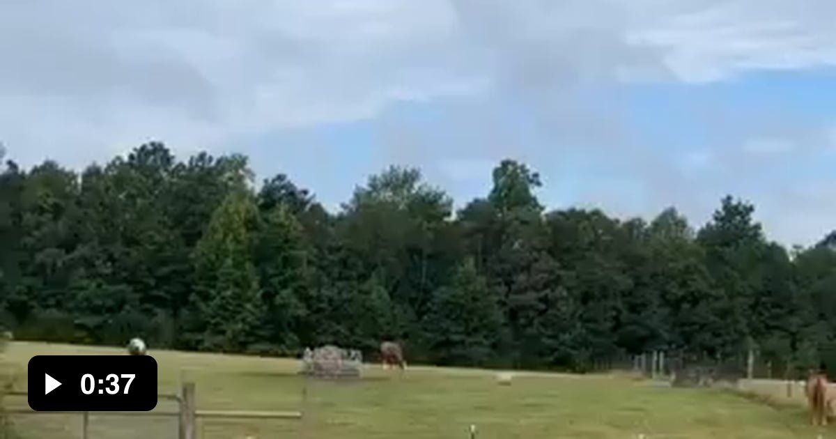 Make way for Willy, he is late - 9GAG