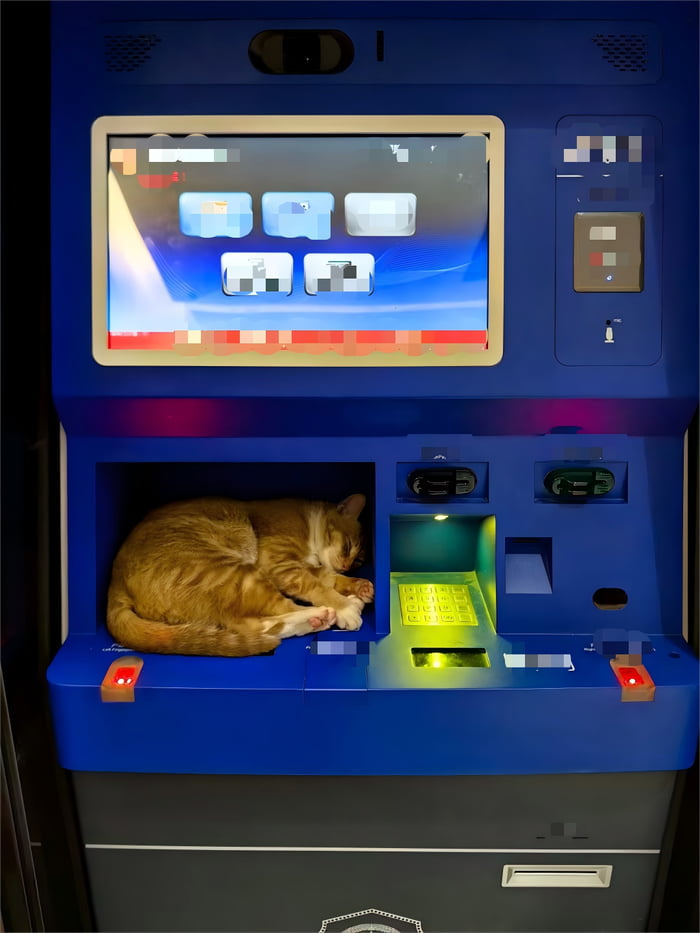 When you discover the best use of an ATM machine: a luxurious sleeping ...