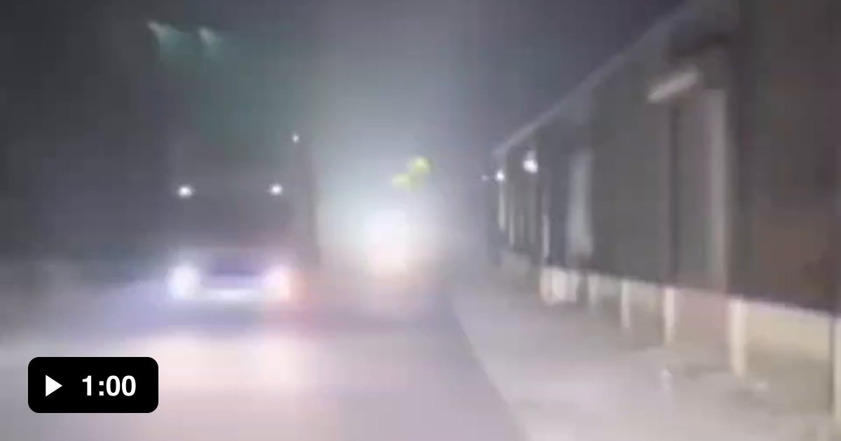 Defeated lion walks away.. - 9GAG