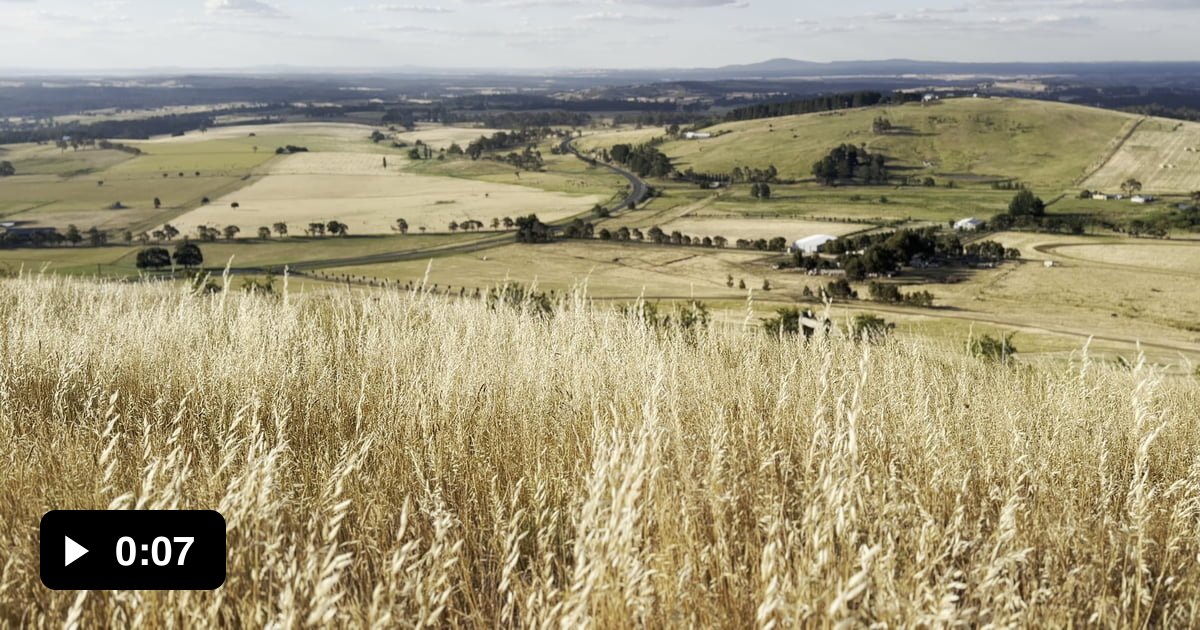 The urge to touch grass intensifies - 9GAG