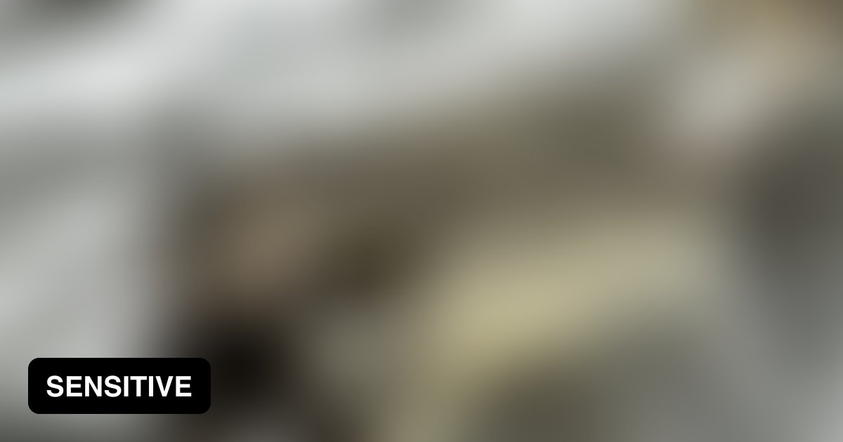 Taxidermy rat phone case - 9GAG