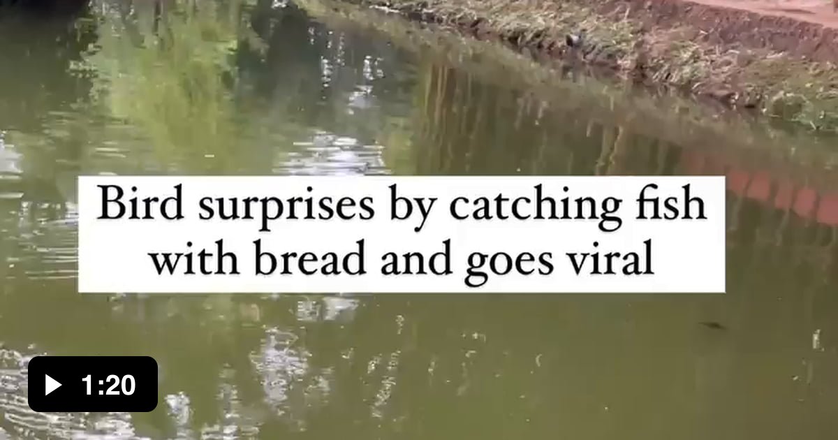 Fishing needs patience - 9GAG