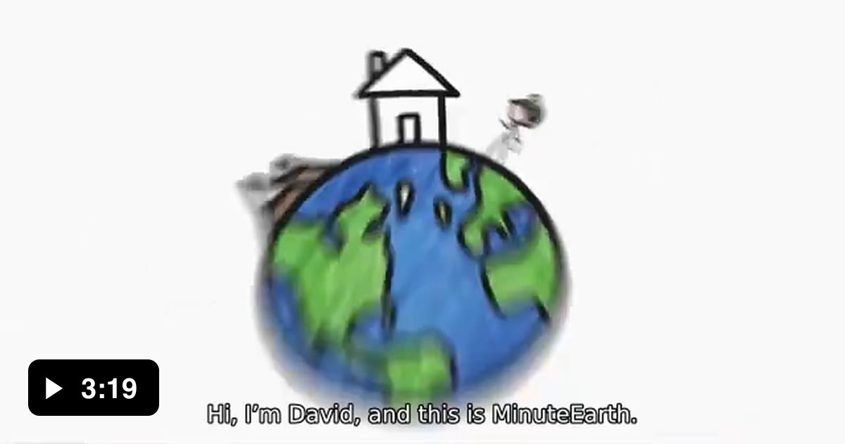 Can Monkeys Only Count To Four? [MinuteEarth on YT, trimmed out the ...