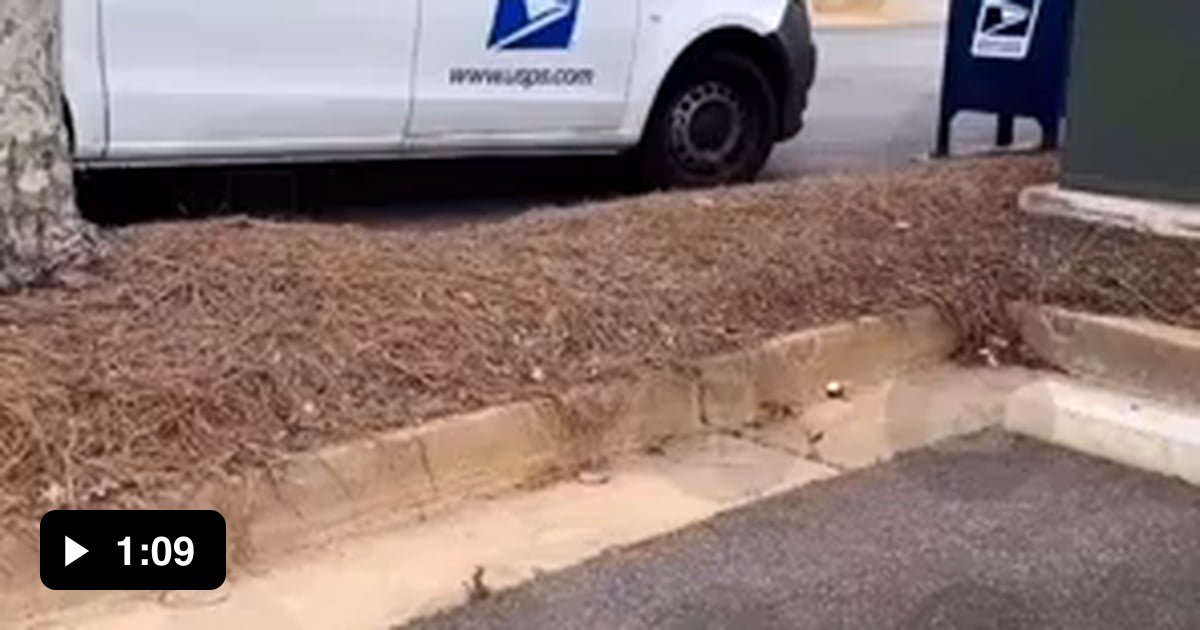 Woman mad because postman won’t commit a felony for her - 9GAG