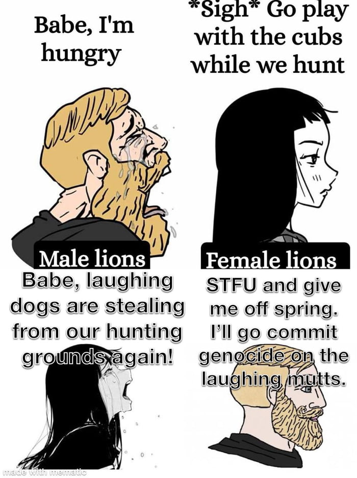 Both sexes have their roles in nature - 9GAG