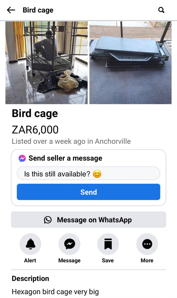 “Hexagon bird cage very big” - 9GAG