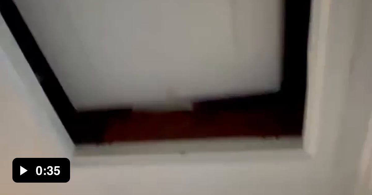 Dare you poke your head in the loft? UK - 9GAG