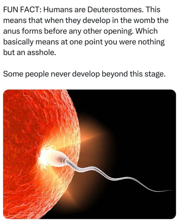 Today’s fun fact.. - 9GAG