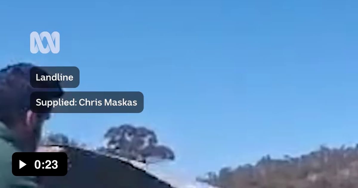 When they see he coming, they run. - 9GAG