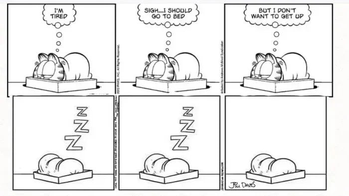 The last Comic featuring Garfield, but not the last Comic strip - 9GAG