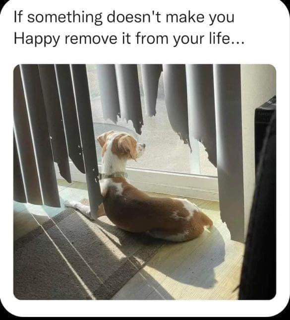 Happy Saturday - 9GAG