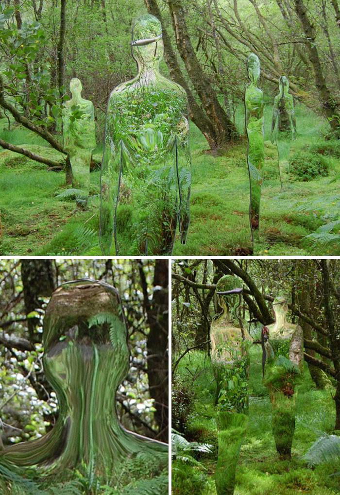 Mirror Sculptures Reflect The Forest By Scottish Artist Rob Mulholland ...