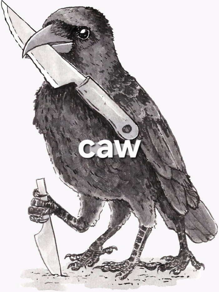 Crow with knife - 9GAG